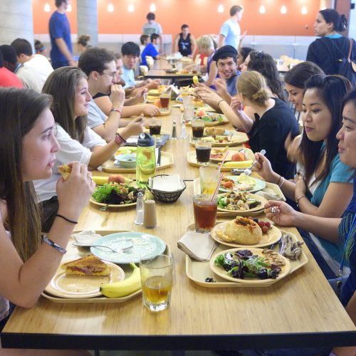 John Hopkins Homewood Campus | Summer at Hopkins